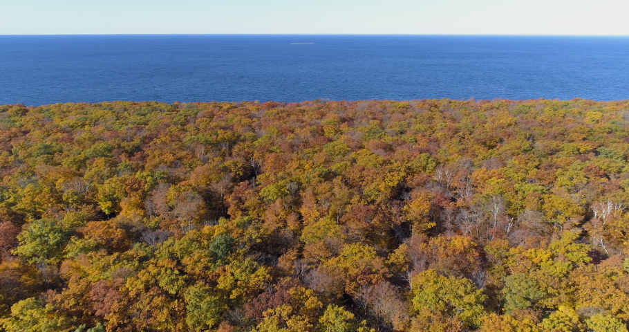 View of the trees and autumn forest in Wisconsin image - Free stock ...