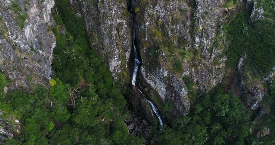 Pito Stock Video Footage - 4K and HD Video Clips | Shutterstock