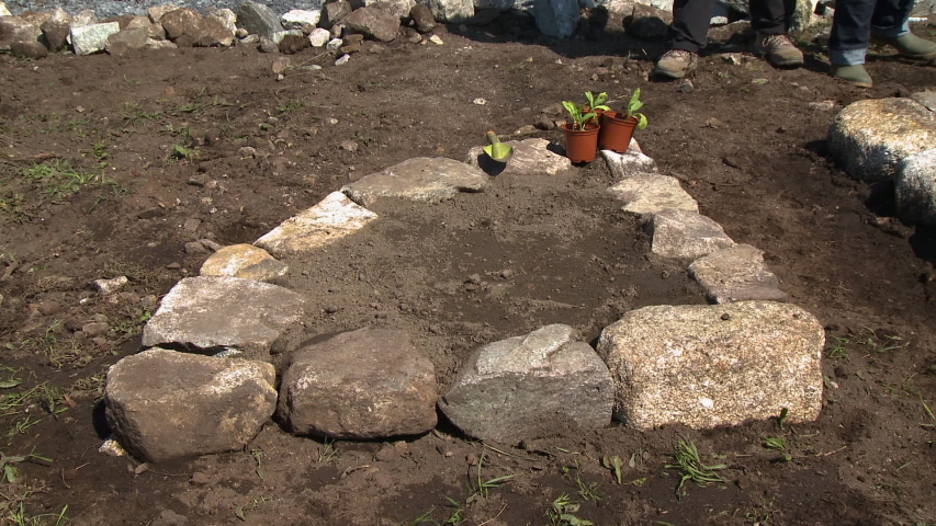 Crops and plant plots in the garden image - Free stock photo - Public ...