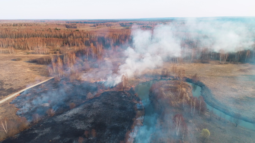 Fire in the Skies in the Black River Forest image - Free stock photo ...