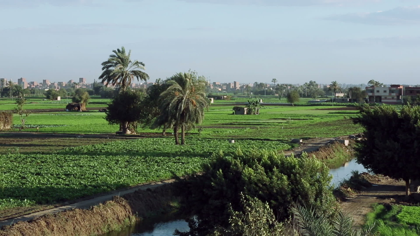 Poverty in egypt Stock Video Footage - 4K and HD Video Clips | Shutterstock