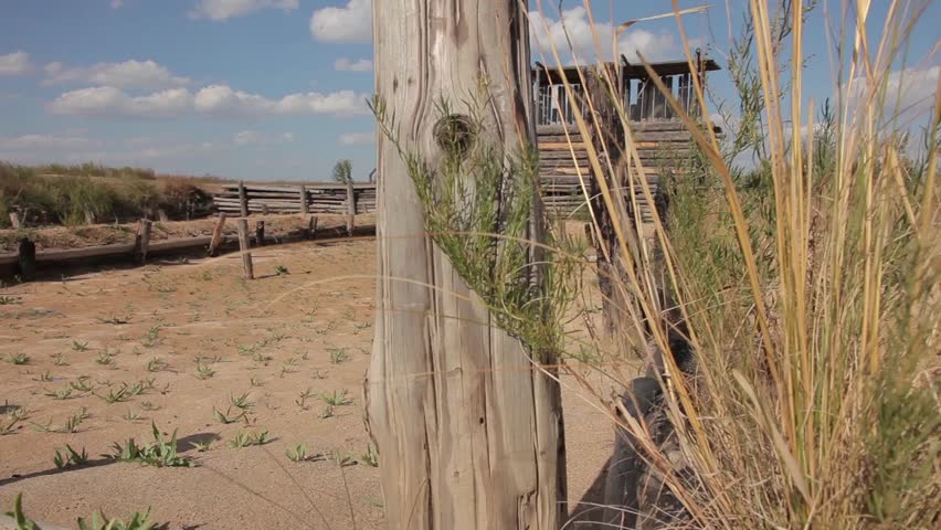 Arkaim Museum Wooden Building Piles Grass Stock Footage Video (100% ...