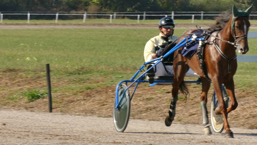 Chariot Races Stock Video Footage - 4K and HD Video Clips | Shutterstock