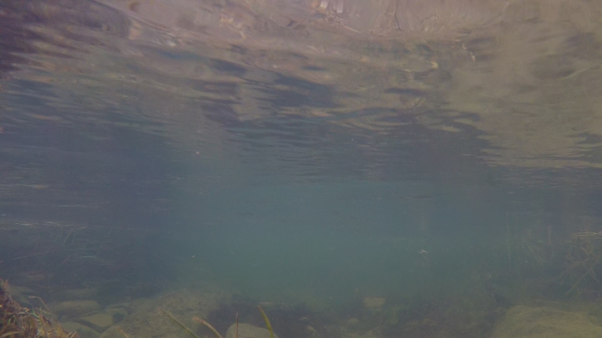 underwater static shot shallow flowing water Stock Footage Video (100% ...