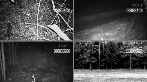 Spotlight forest night Stock Video Footage - 4K and HD Video Clips ...