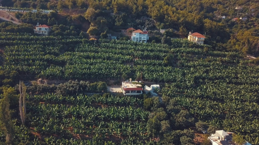 Cottage and landscape in Antalya, Turkey image - Free stock photo ...