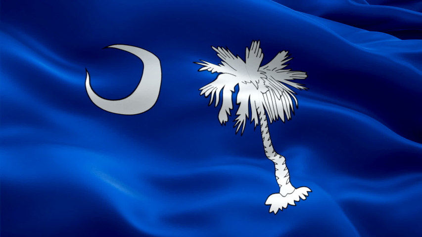 Flag of South Carolina image - Free stock photo - Public Domain photo ...