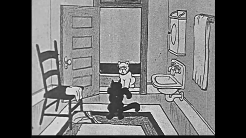 Bobby cat Stock Video Footage - 4K and HD Video Clips | Shutterstock