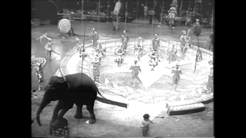 circa 1950s - circus starts 1956 Stock Footage Video (100% Royalty-free ...