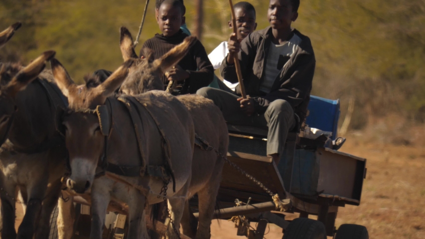 rural botswana - circa 2019 four Stock Footage Video (100% Royalty-free ...