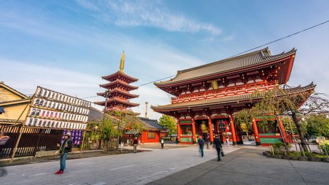 Tokyo Night Sensoji Temple Tokyo Japan Stock Photo (Edit Now) 309509267