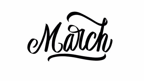 Vector Illustration Brush Lettering Composition Summer Stock Vector ...