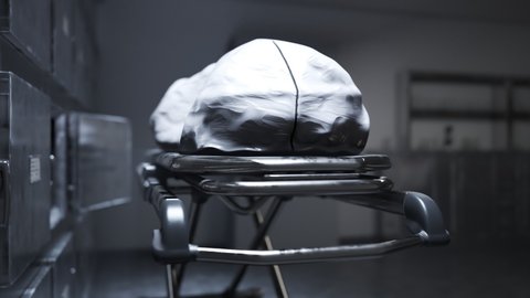 Camera Shows Dead Body Covered White Stock Footage Video (100% Royalty ...