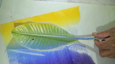 Take Colored Rolling Leaf Place On Stock Footage Video (100% Royalty ...