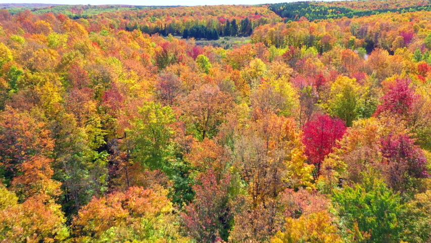 Northern Wisconsins Exceptionally Colorful, Breathtaking Stock Footage ...