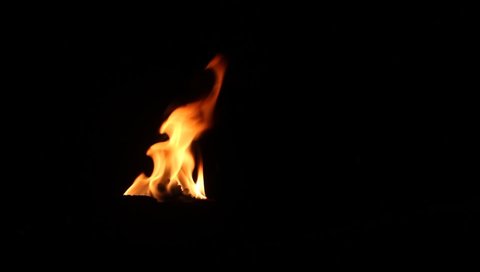 Real Small Fire Flame Isolated On Stock Footage Video (100% Royalty ...