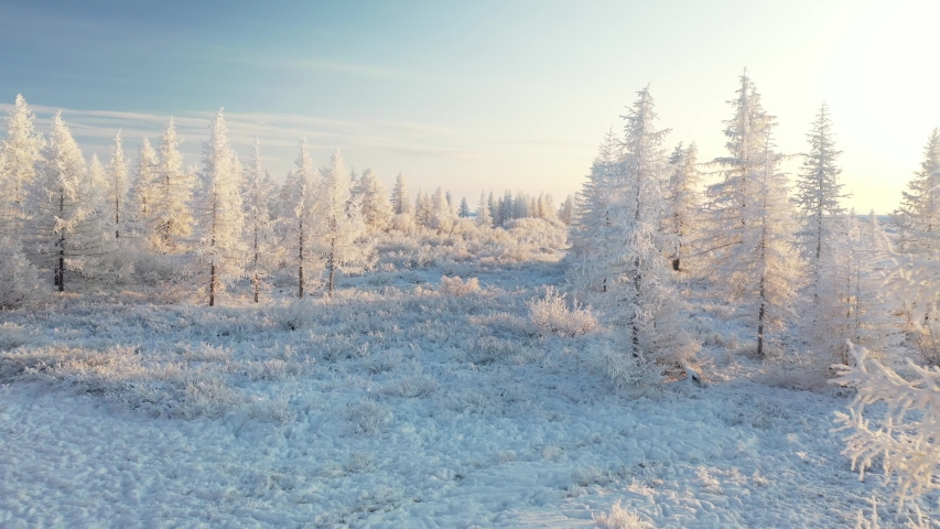 beautiful winter landscape tundra frost Stock Footage Video (100% ...