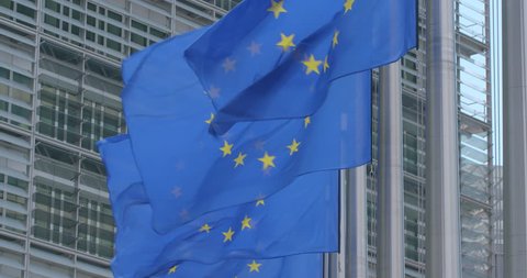 Eu Flags Waving Front European Parliament Stock Photo (Edit Now) 318496325