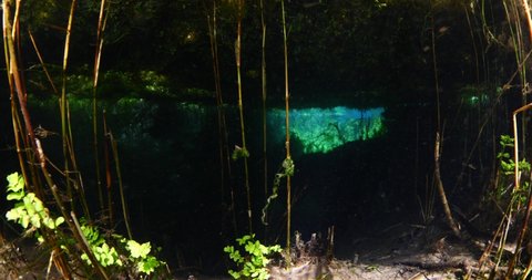 Underwater Freshwater Lake River Spring Scenery Stock Footage Video ...