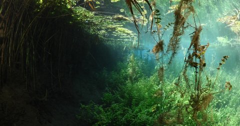 Underwater Freshwater Lake River Spring Scenery Stock Footage Video ...