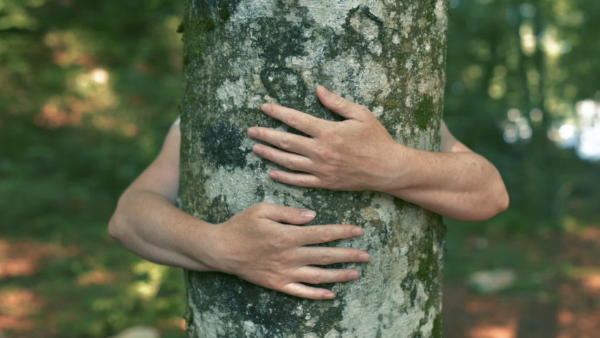 environmentalist hugging tree forest loving nature Stock Footage Video ...