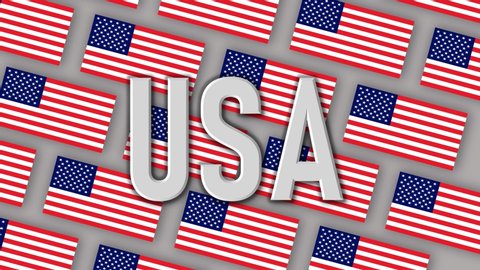 American Flag Vector Emblems Usa Flaf Stock Vector (Royalty Free ...