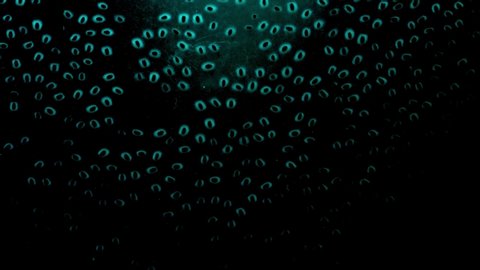 Html Computer Code Background Showing Concept Stock Photo 36175030 ...