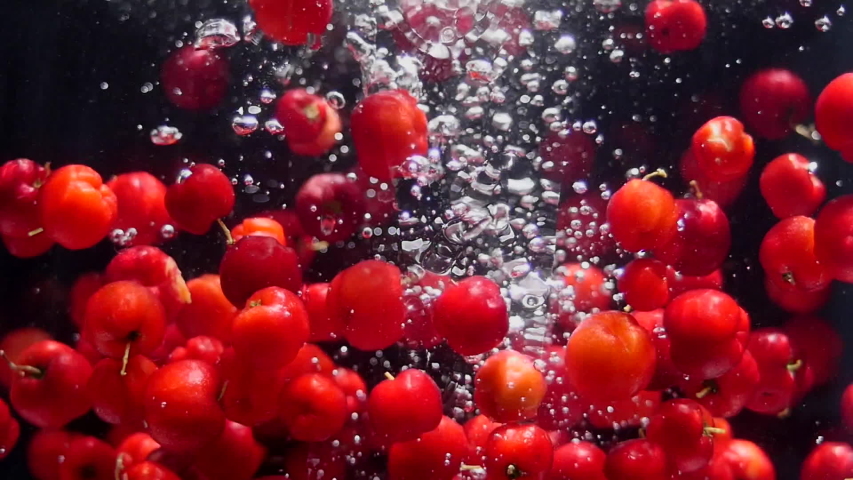 falling red berries slow motion fruits Stock Footage Video (100% ...