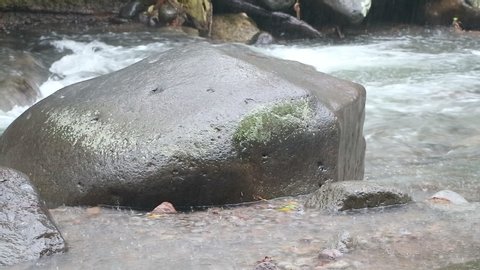 Water Flows Fresh River Black Rocks Stock Footage Video (100% Royalty ...