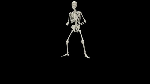 3d Human Skeleton Dancing Gangnam Style Stock Footage Video (100% ...