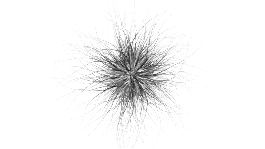 Drow Lines Stock Video Footage - 4K and HD Video Clips | Shutterstock