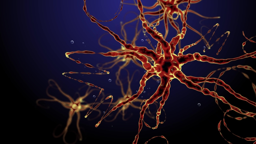 moving nerve cells human neuron nervous Stock Footage Video (100% ...