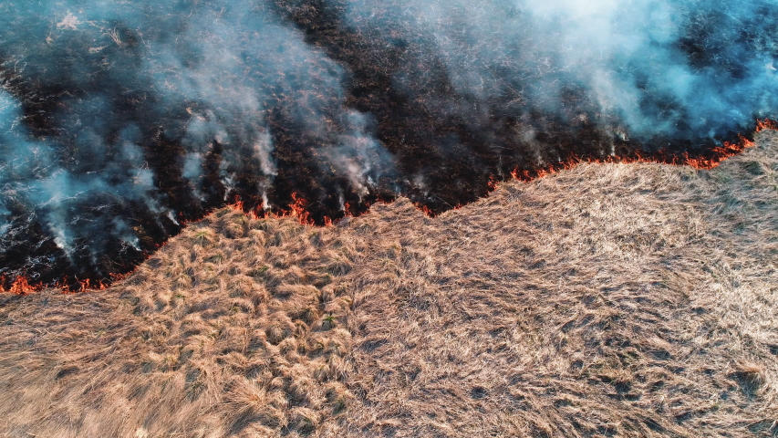 Fire in the Skies in the Black River Forest image - Free stock photo ...