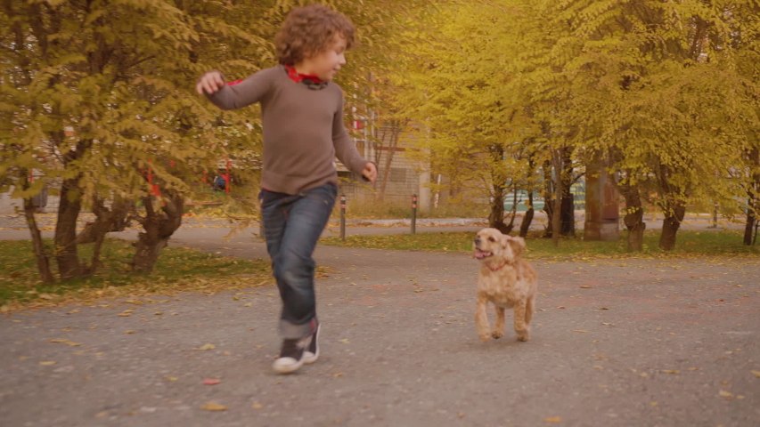 Playful Kids Running with Dog Stock Footage Video (100% Royalty-free ...