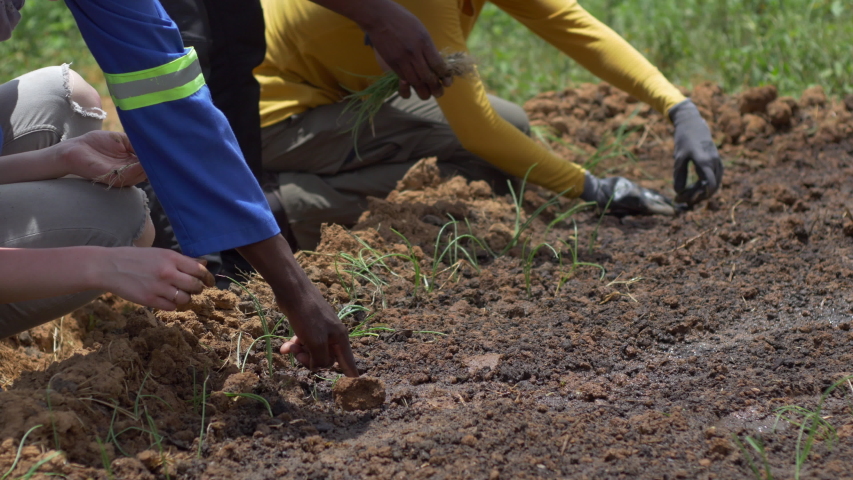Charity work africa Stock Video Footage - 4K and HD Video Clips ...