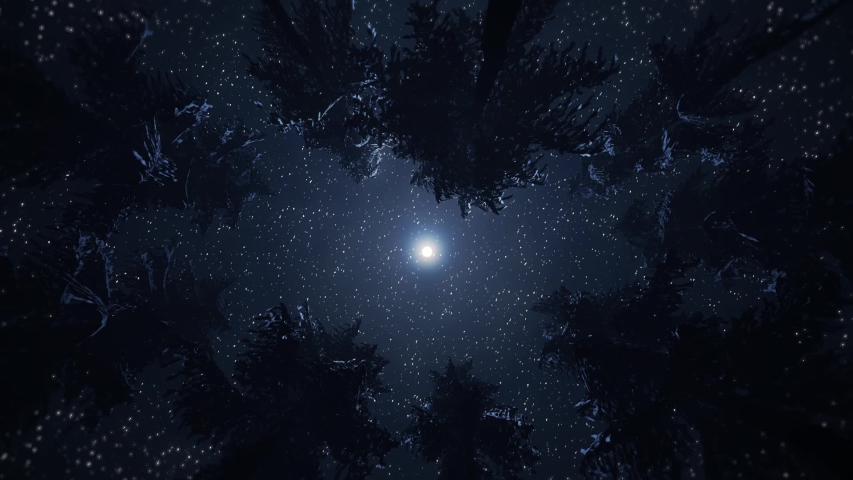 magical christmas night starry sky animation Stock Footage Video (100% ...