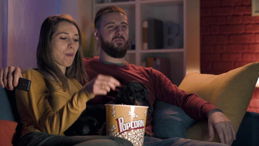 Popcorn Dogs Stock Video Footage - 4K and HD Video Clips | Shutterstock