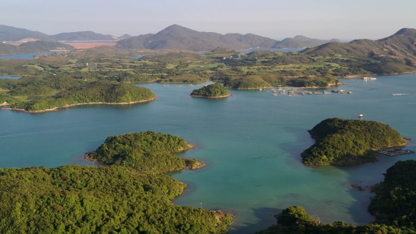 Pak wan tree Stock Video Footage - 4K and HD Video Clips | Shutterstock