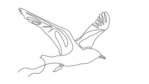 Fly Gull Polygonal Wireframe Fly Gull Stock Vector (Royalty Free ...