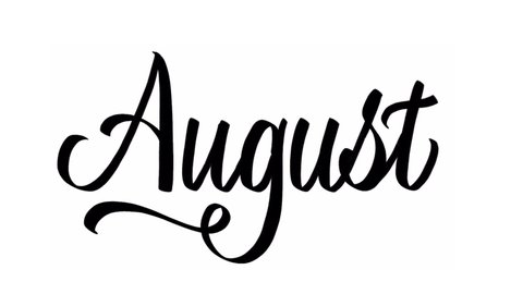 Thank You Hand Drawn Lettering Calligraphic Stock Vector (Royalty Free ...