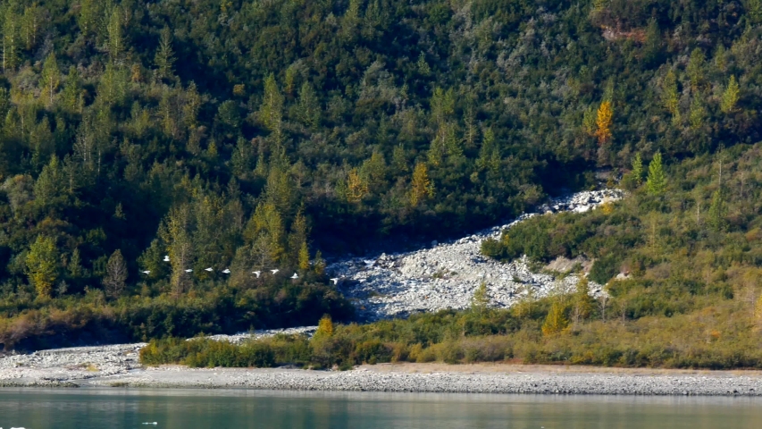 Green Hills landscape in Alaska image - Free stock photo - Public ...