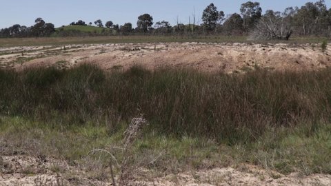 Exposed Stream Bed Empty Lake Australian Stock Footage Video (100% ...