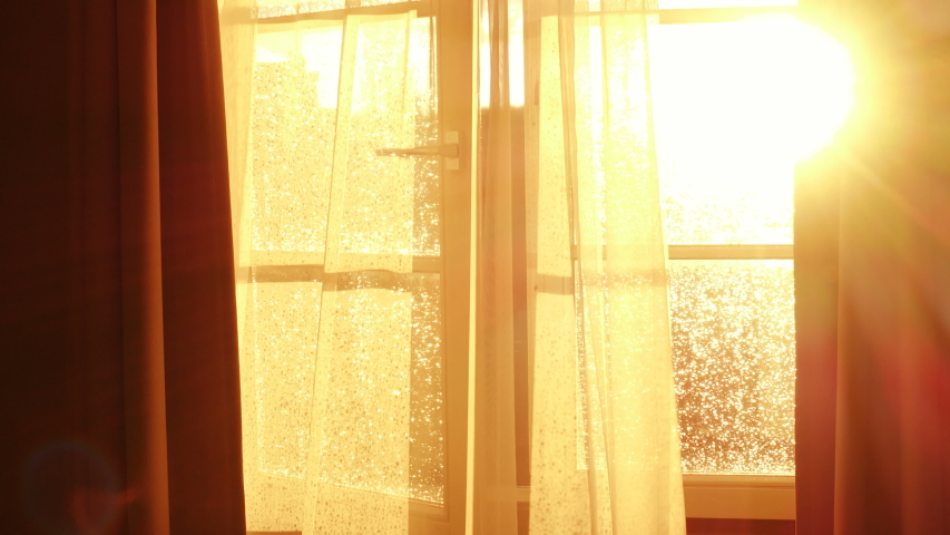 Sunbeams Through Transparent Curtain of Stok Videosu (%100 Telifsiz ...
