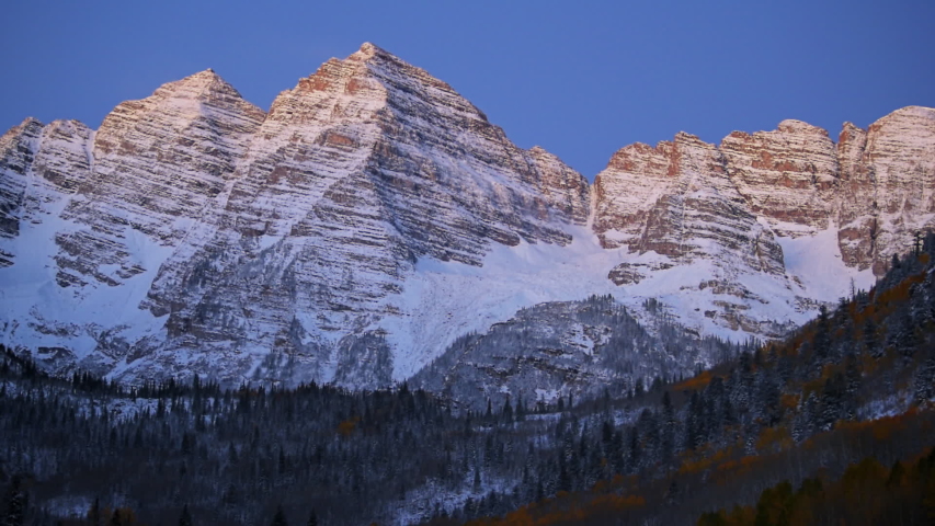 Closeup of the pine forest at Rocky Mountains National Park, Colorado ...
