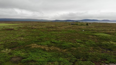 Iceland Flower Field Aerial Landscape Stock Footage Video (100% Royalty ...