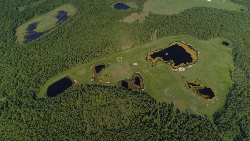 Primordial forest Stock Video Footage - 4K and HD Video Clips ...