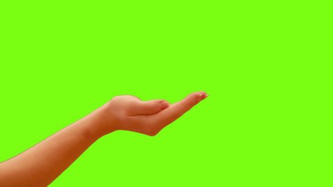Green Screen Caucasian Hand Reaching Out Stock Footage Video (100% ...