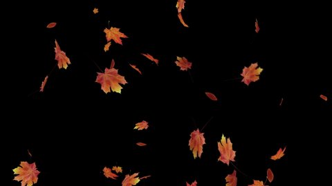 Falling Autumn Maple Leaves Realistic 2 Stock Footage Video (100% ...