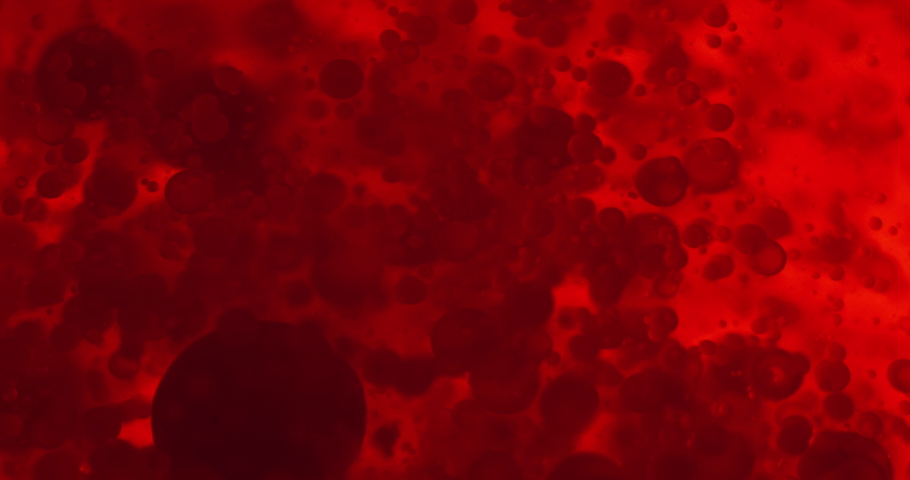Abstract Red Blood Cells Stock Video Footage - 4K and HD Video Clips ...