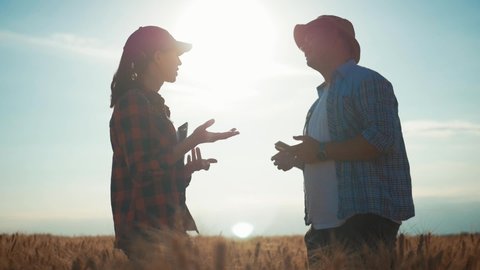Two Farmers Talking Wheat Field Against Stock Footage Video (100% ...